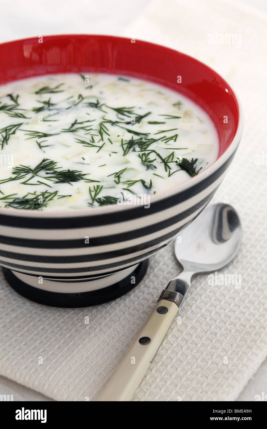 tarator yogurt cucumber soup tzatziki Stock Photo - Alamy