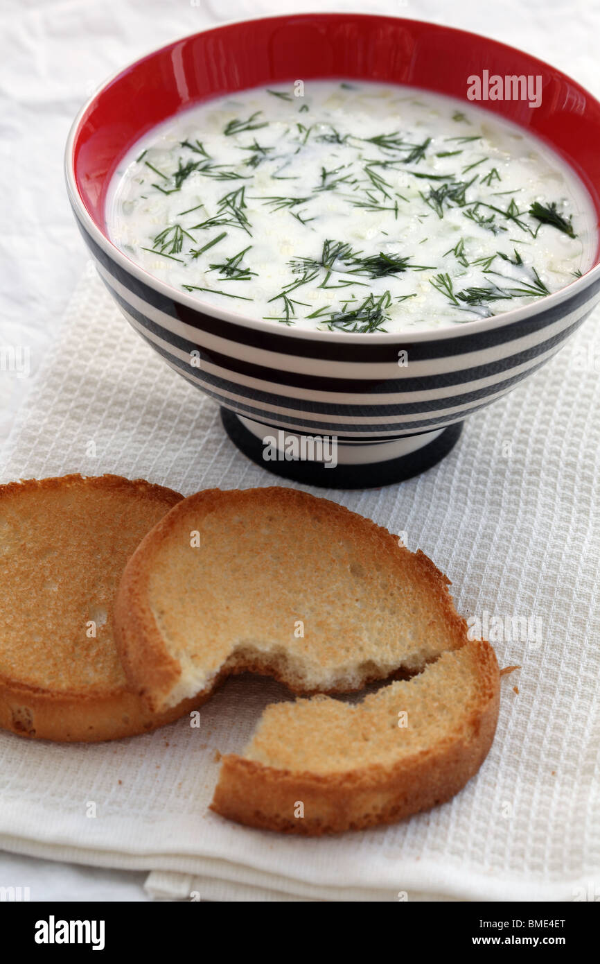 tarator yogurt cucumber soup tzatziki Stock Photo - Alamy