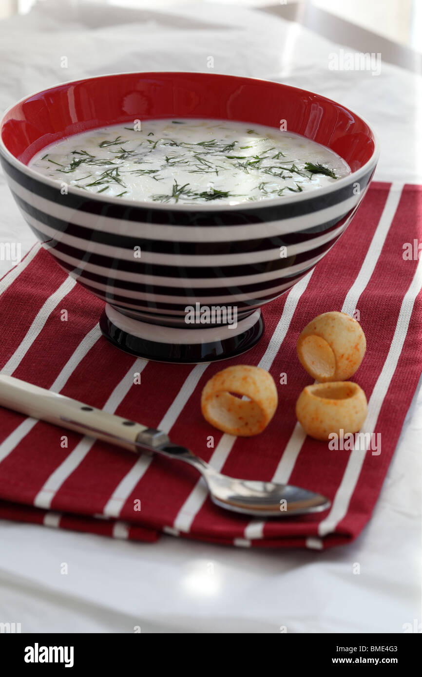 tarator yogurt cucumber soup tzatziki Stock Photo - Alamy