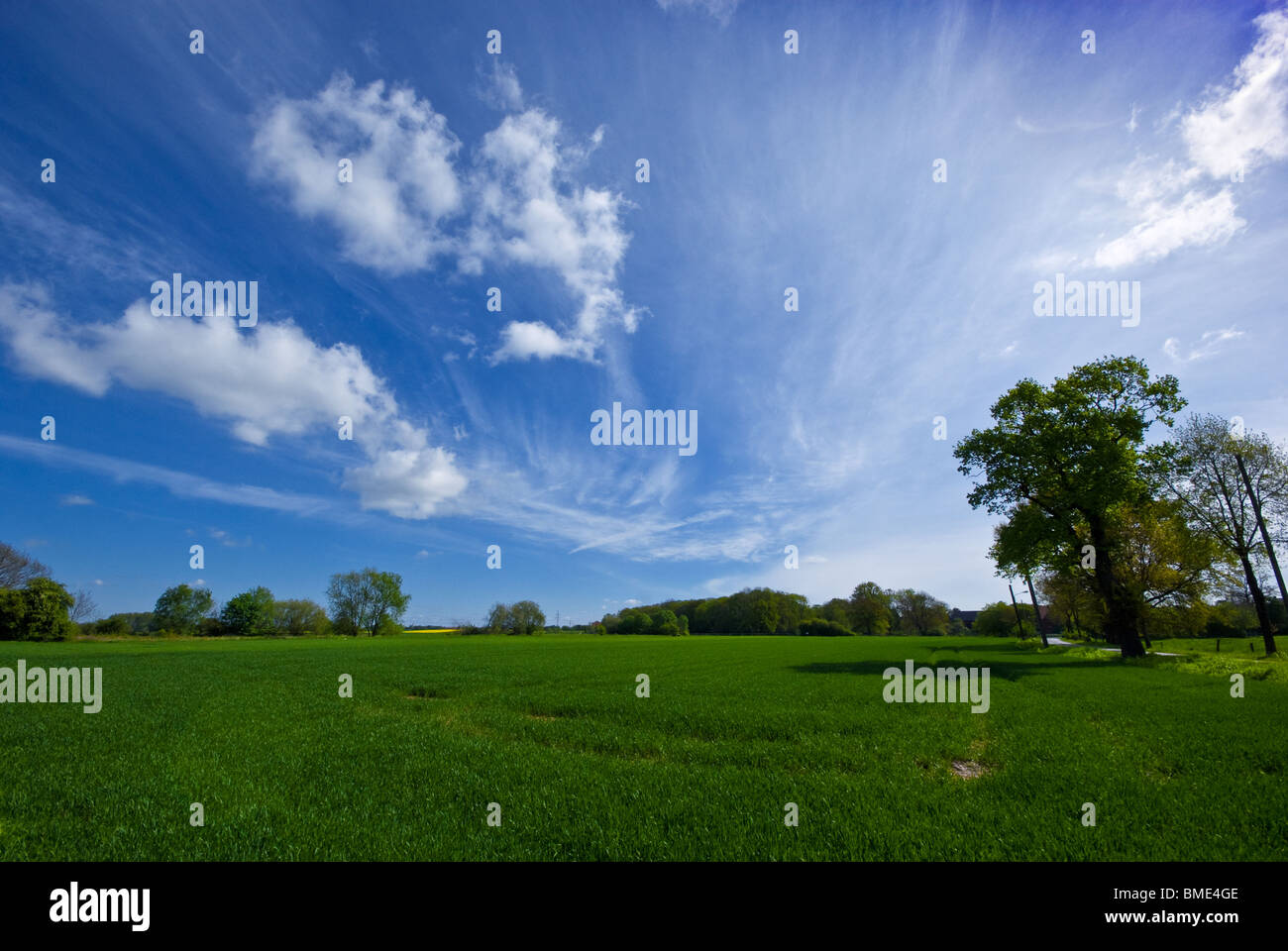 On this picture you can see a landscape consisting of a green meadow ...