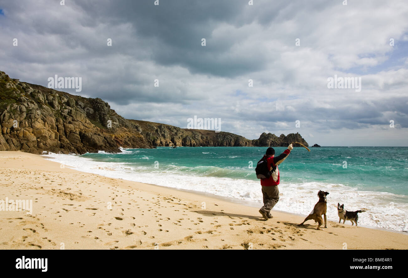 Fetch on the beach hi-res stock photography and images - Alamy