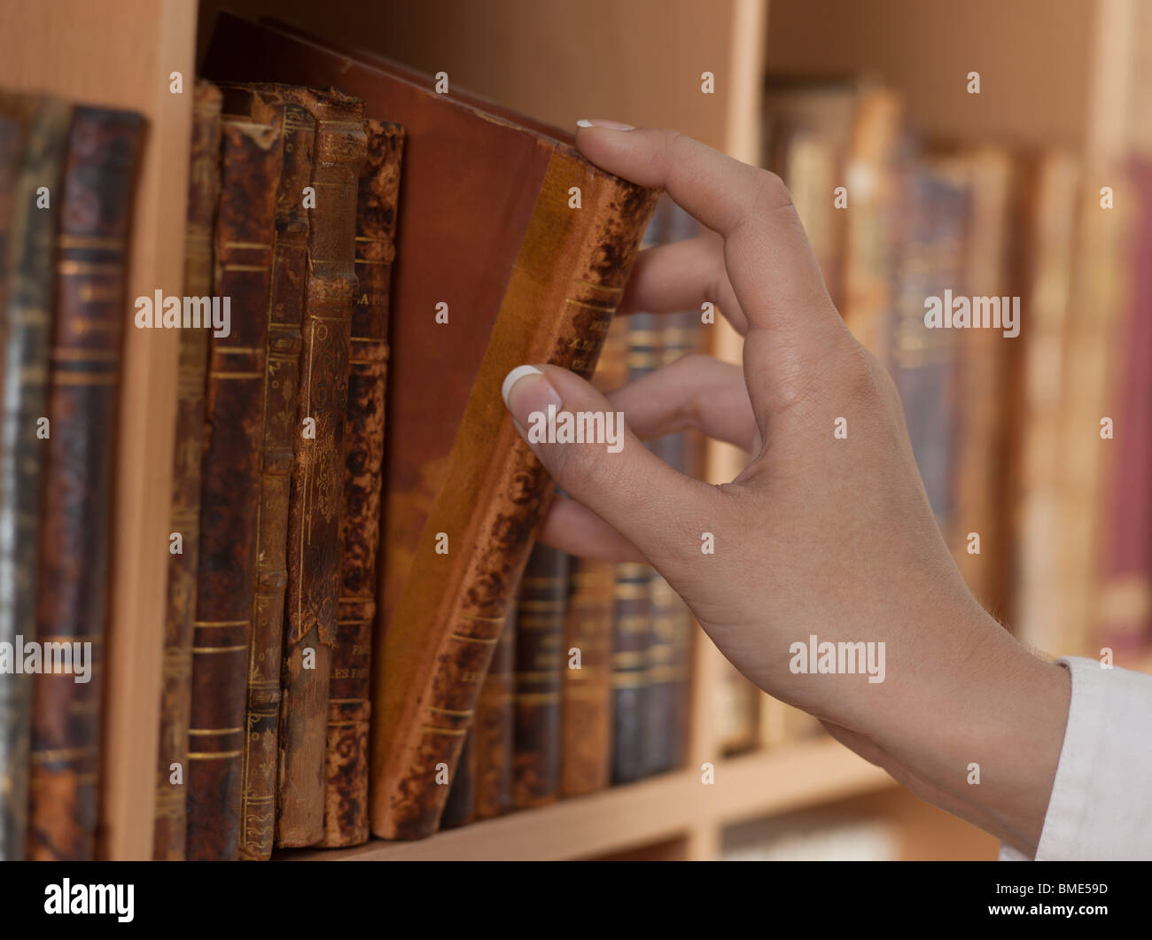 woman hand holding old book library close up Stock Photo - Alamy