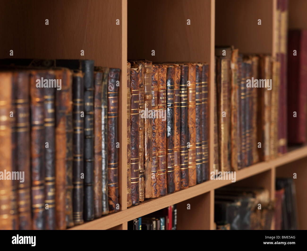 ancient books library on a a book shelves Stock Photo - Alamy