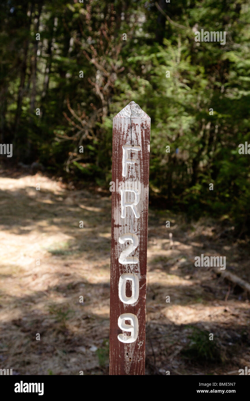 Fireroad 209 along Bear Notch Road in the White Mountains, New ...