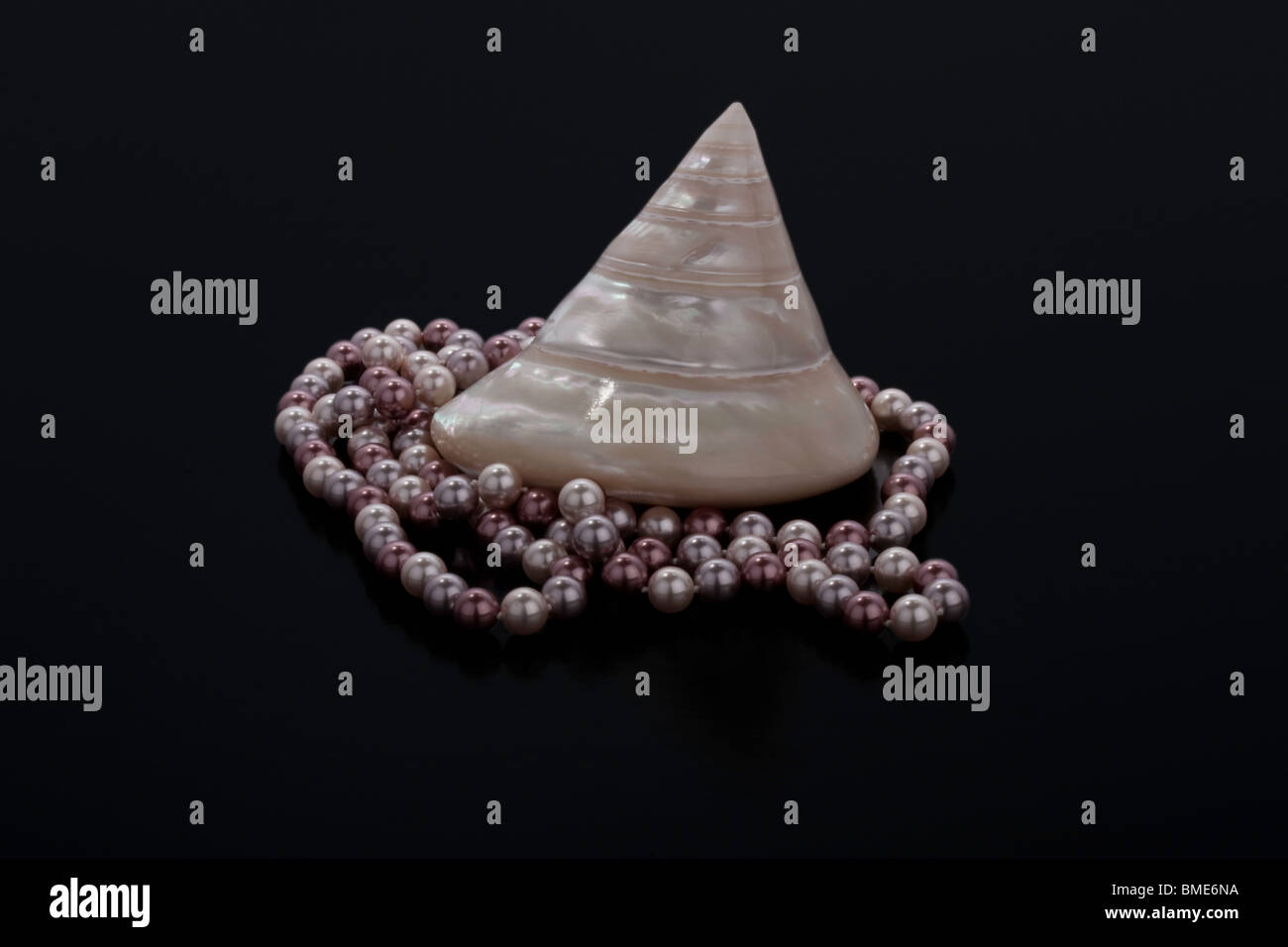 Peach shell hi-res stock photography and images - Alamy