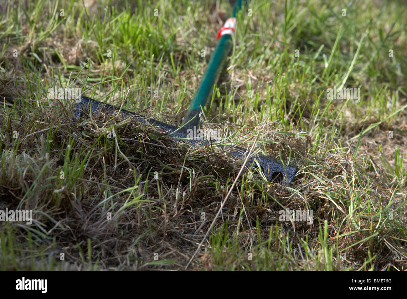 Unkept garden uk hi-res stock photography and images - Alamy