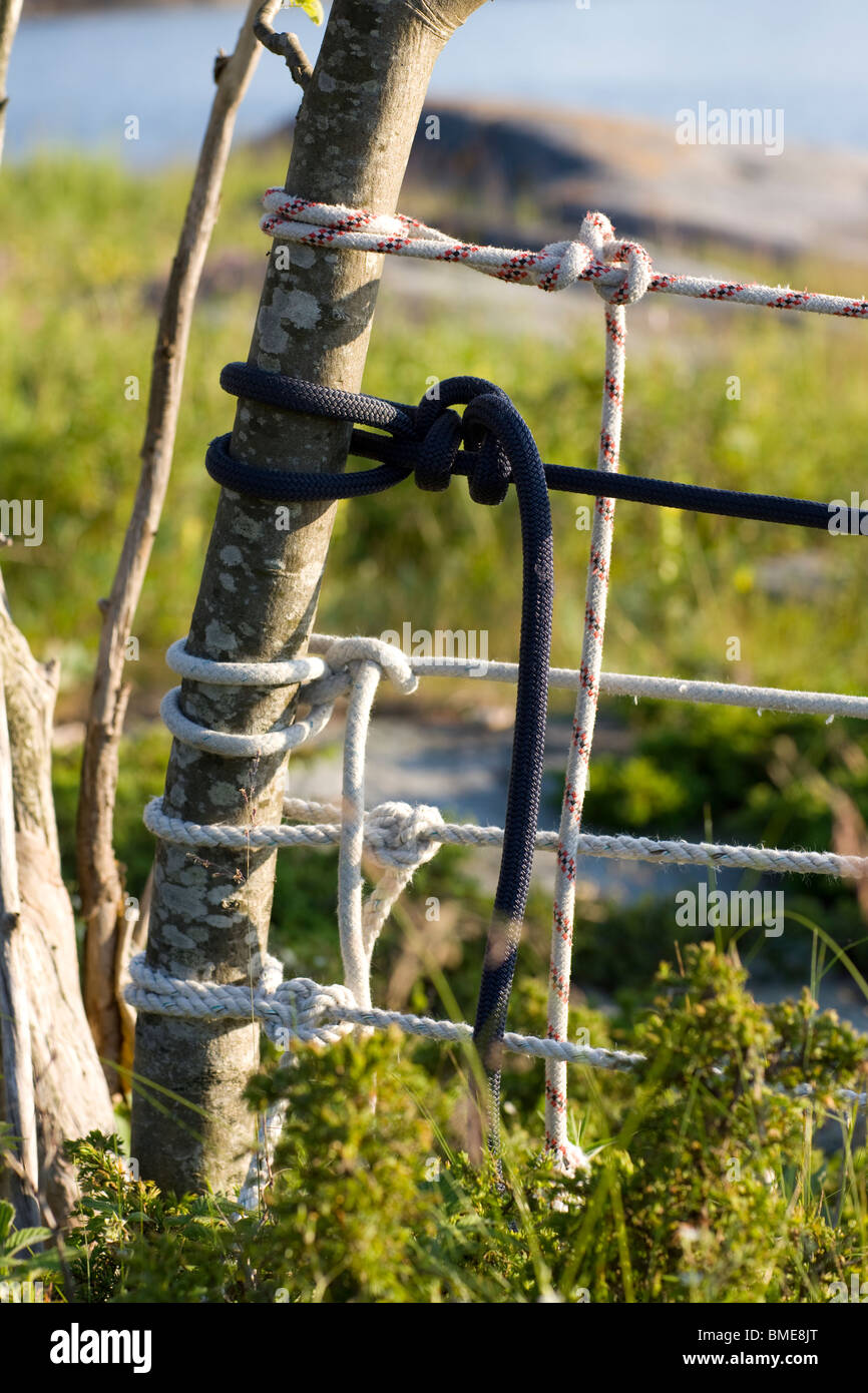 Rope tied to tree hi-res stock photography and images - Alamy