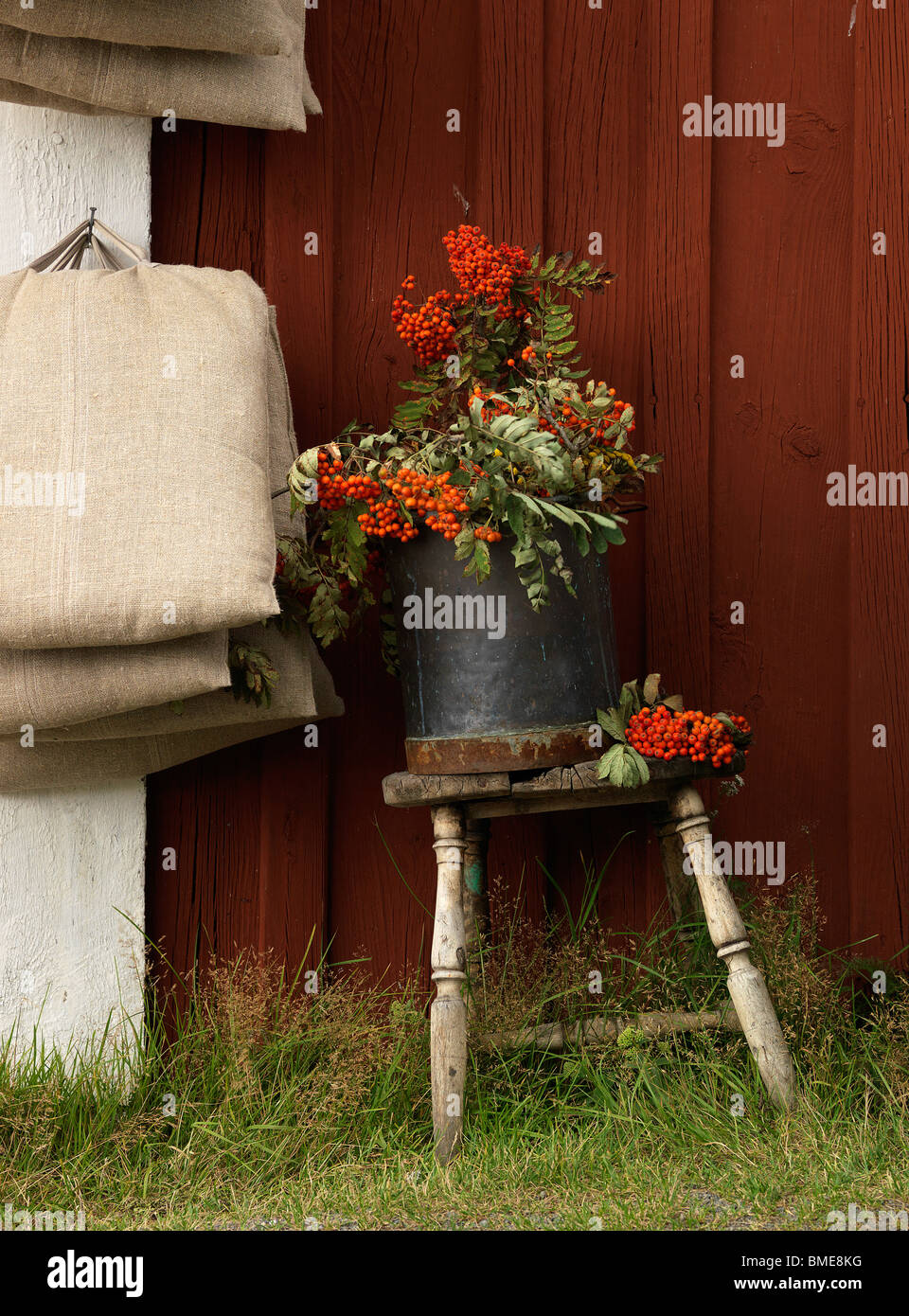 Flowers in pot on stool Stock Photo - Alamy
