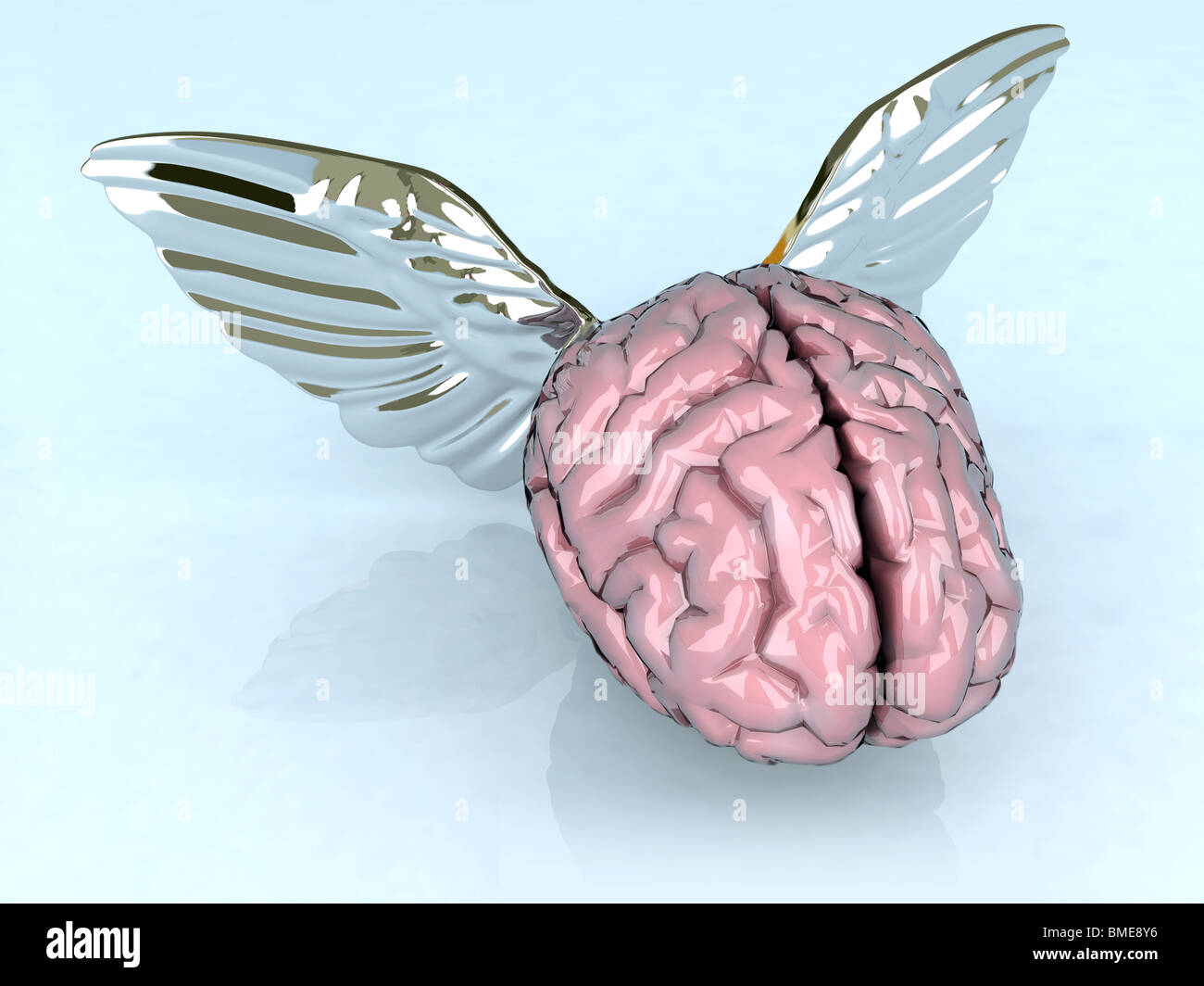 Brains with wings hi-res stock photography and images - Alamy