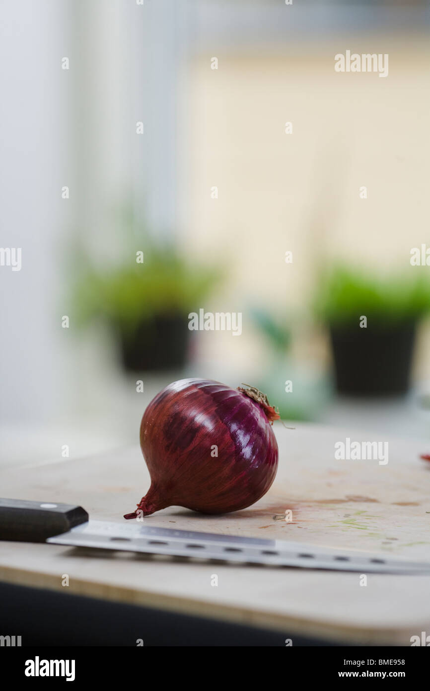 Inside of an onion hi-res stock photography and images - Alamy