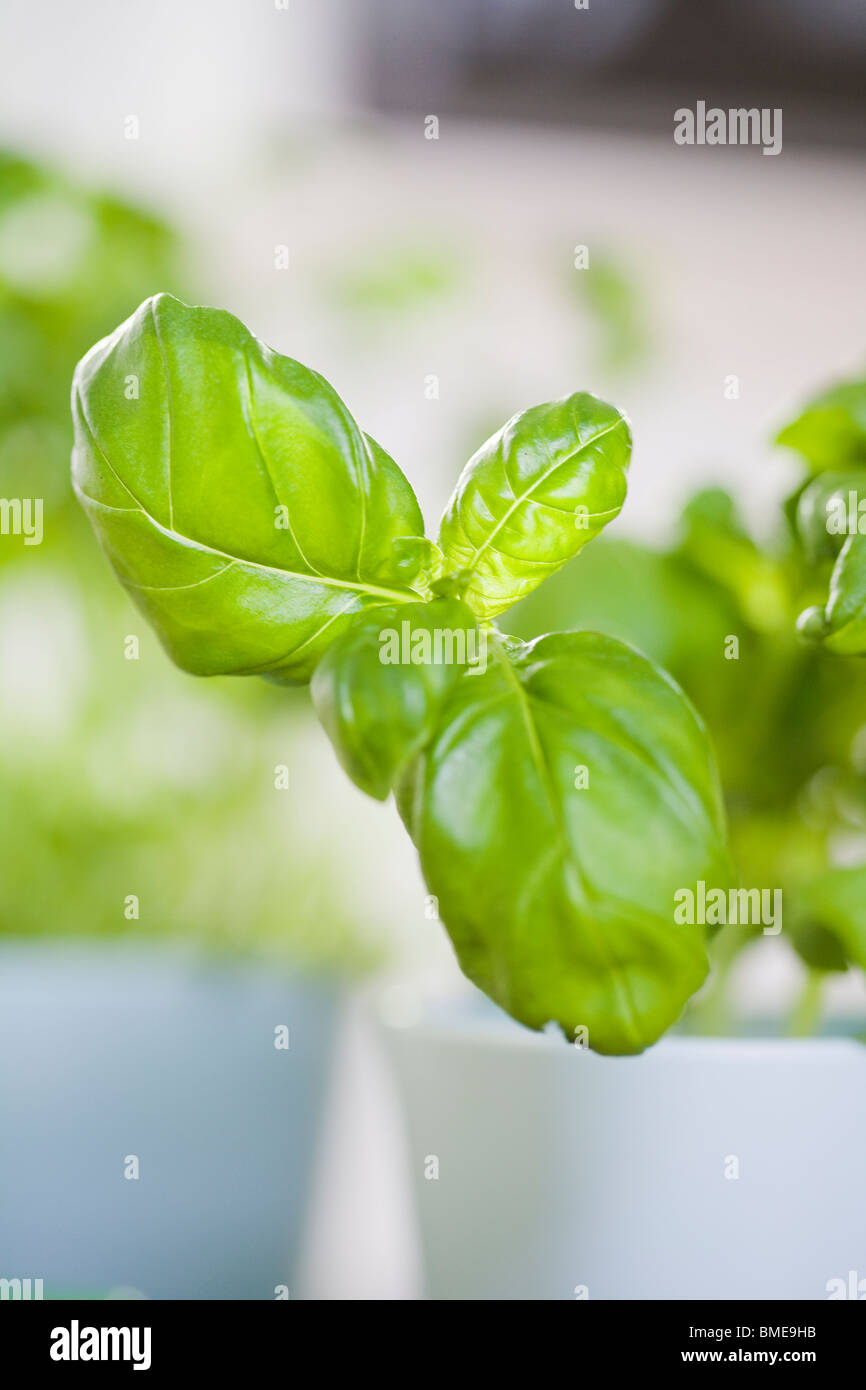 Sleekest hi-res stock photography and images - Alamy