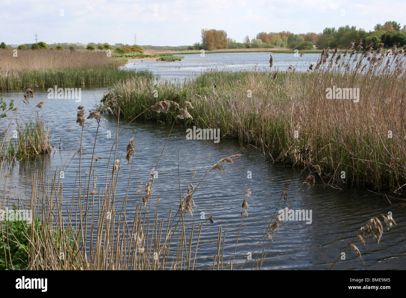 Marton mere local nature reserve hi-res stock photography and images ...