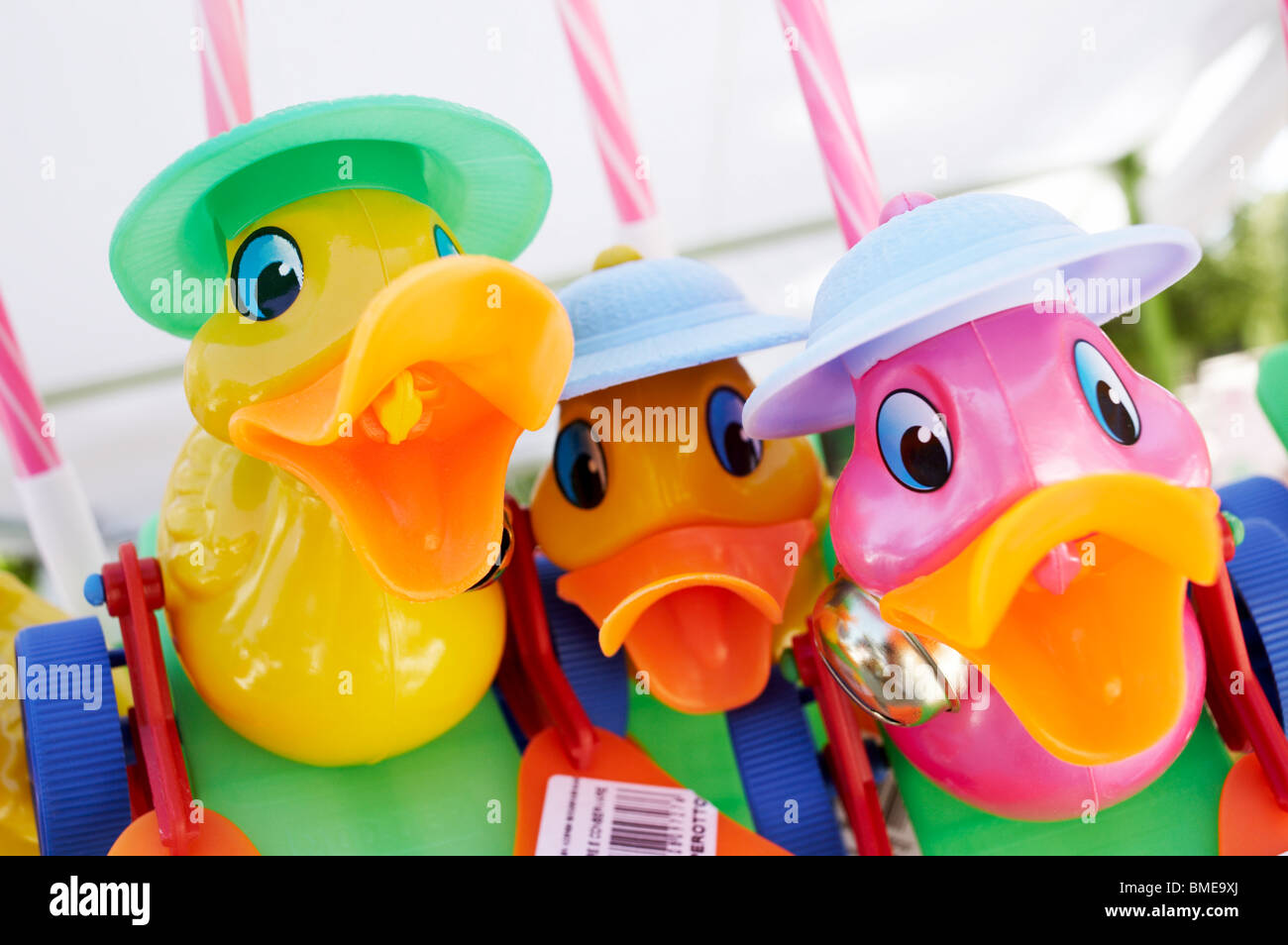 Brightly Coloured Duck Stock Photos & Brightly Coloured Duck Stock ...