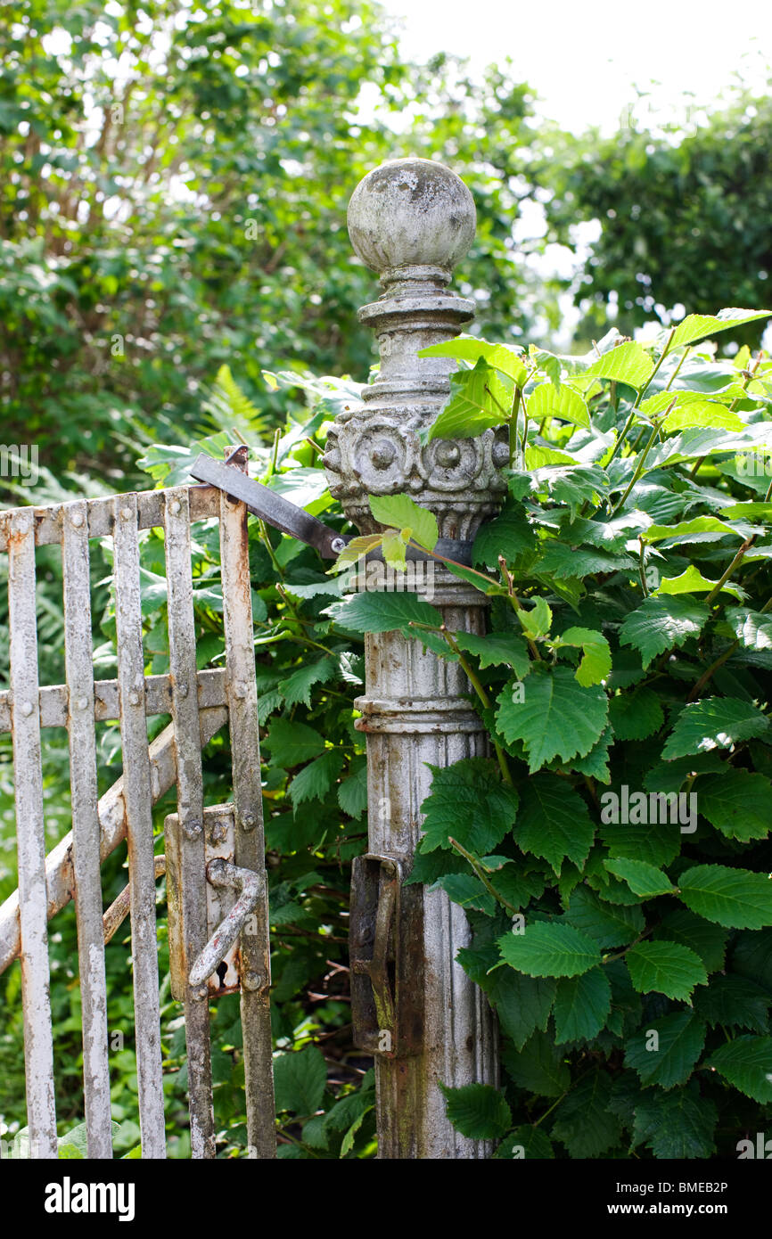 Gate with plants hi-res stock photography and images - Alamy