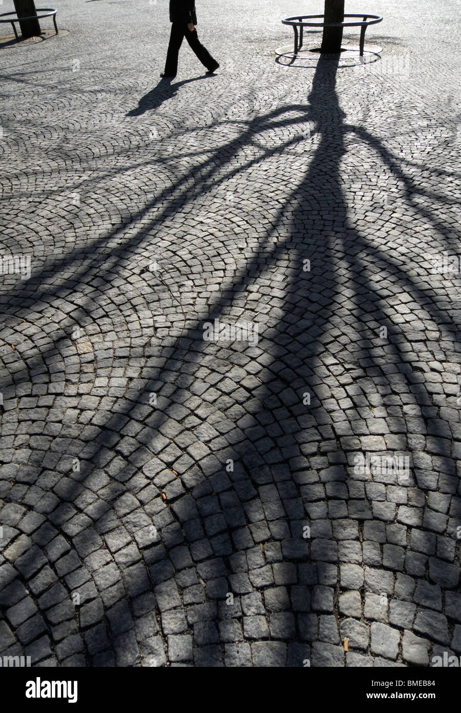 Shadow of a tree on cobble stone pavement, lower extremities of a ...