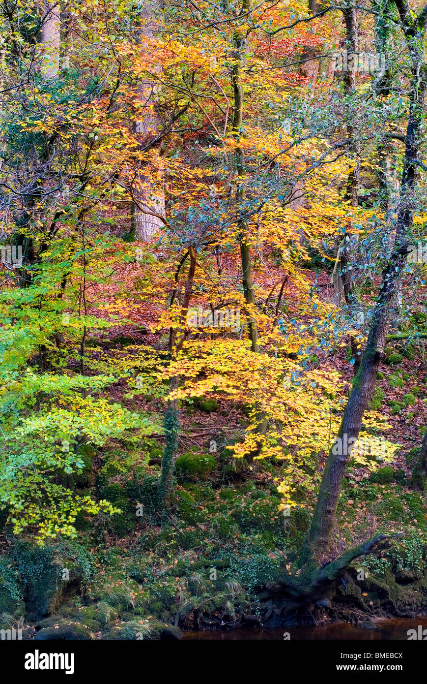Barden tower yorkshire dales hi-res stock photography and images - Alamy