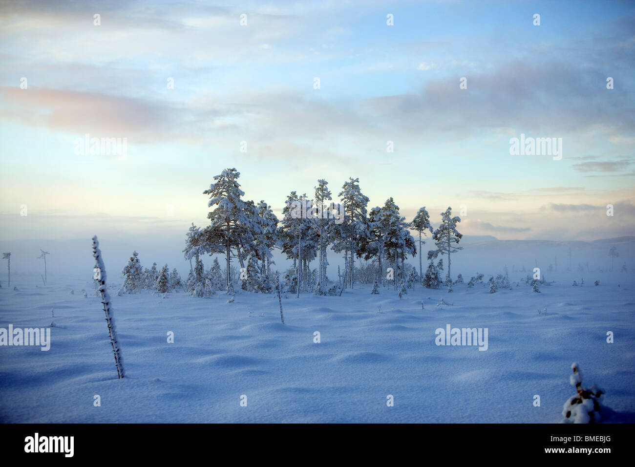 Snow covered marshland hi-res stock photography and images - Alamy