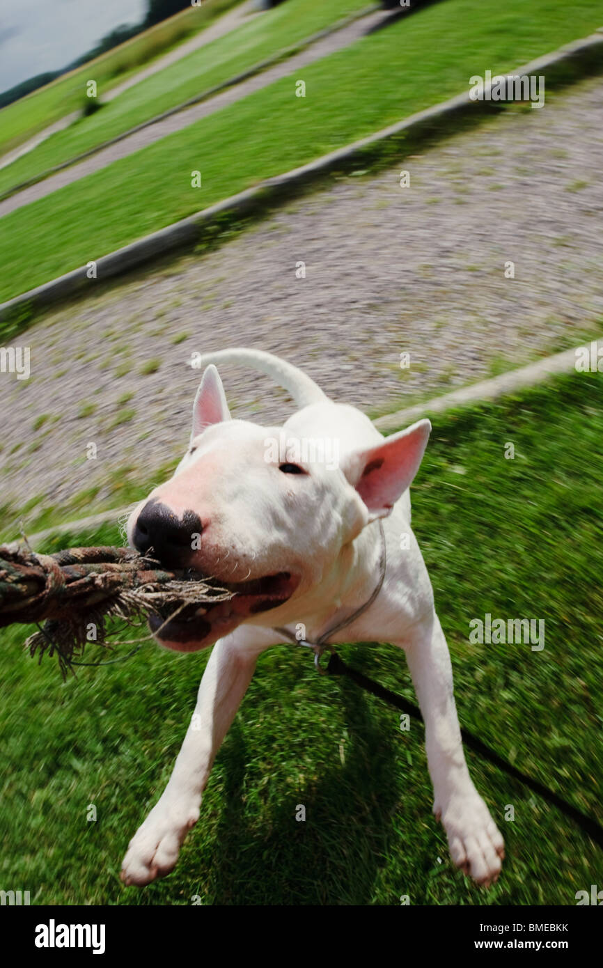 Messing_about High Resolution Stock Photography and Images - Alamy