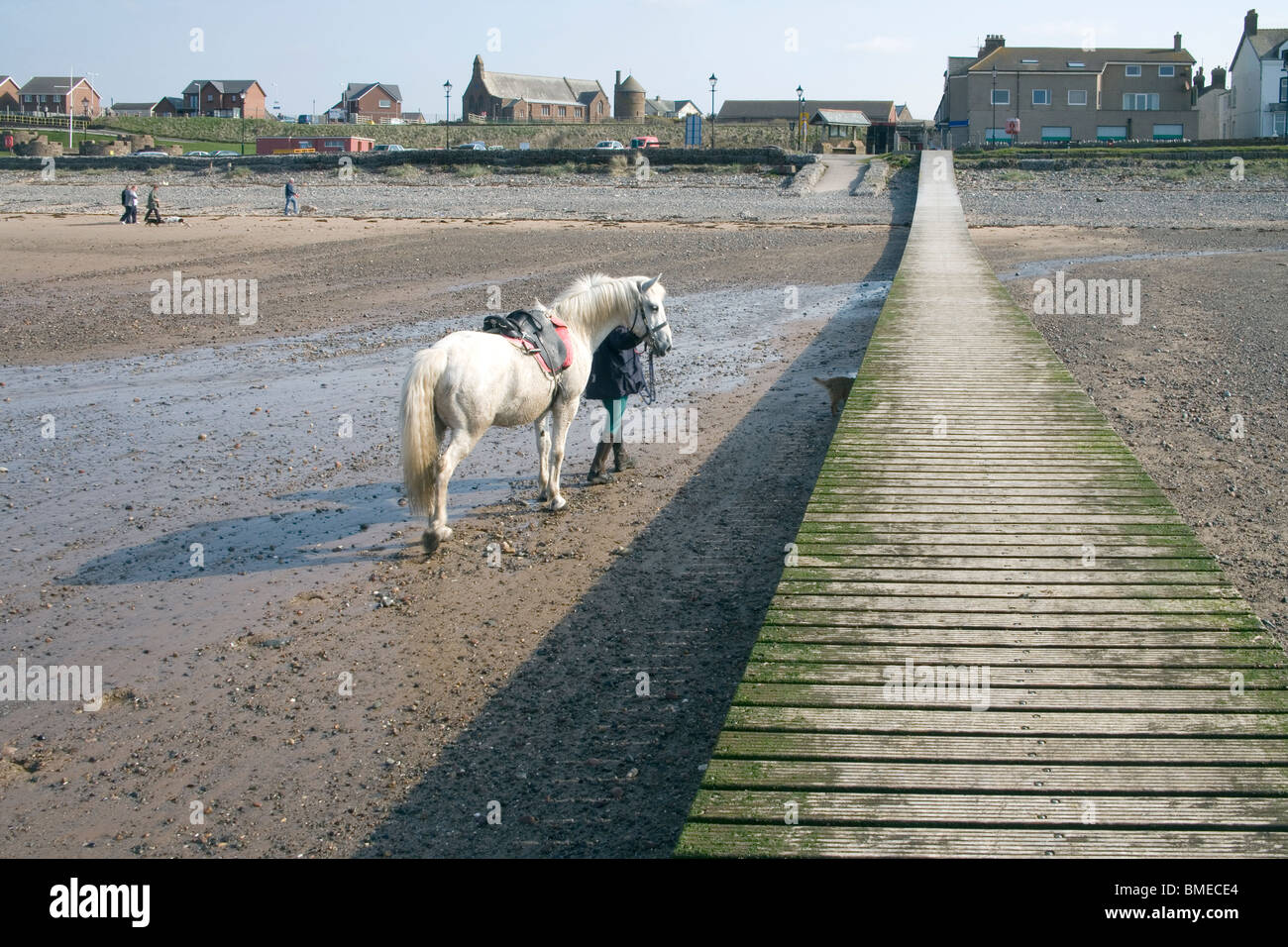 pontoon and horse rider seascale on the cumbria coast england Stock ...