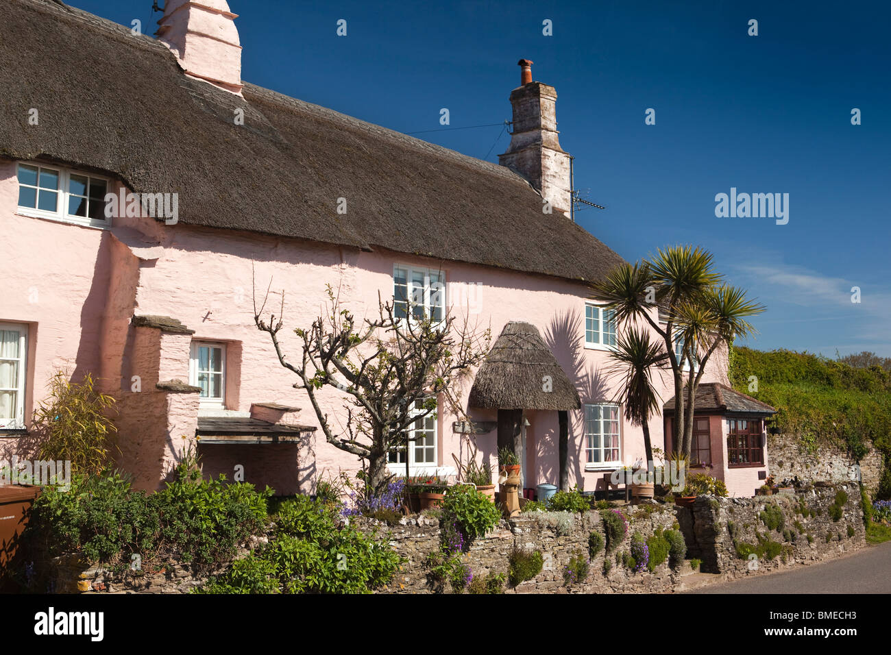 UK, England, Devon, Strete, idyllic pastel painted thatched cottage ...