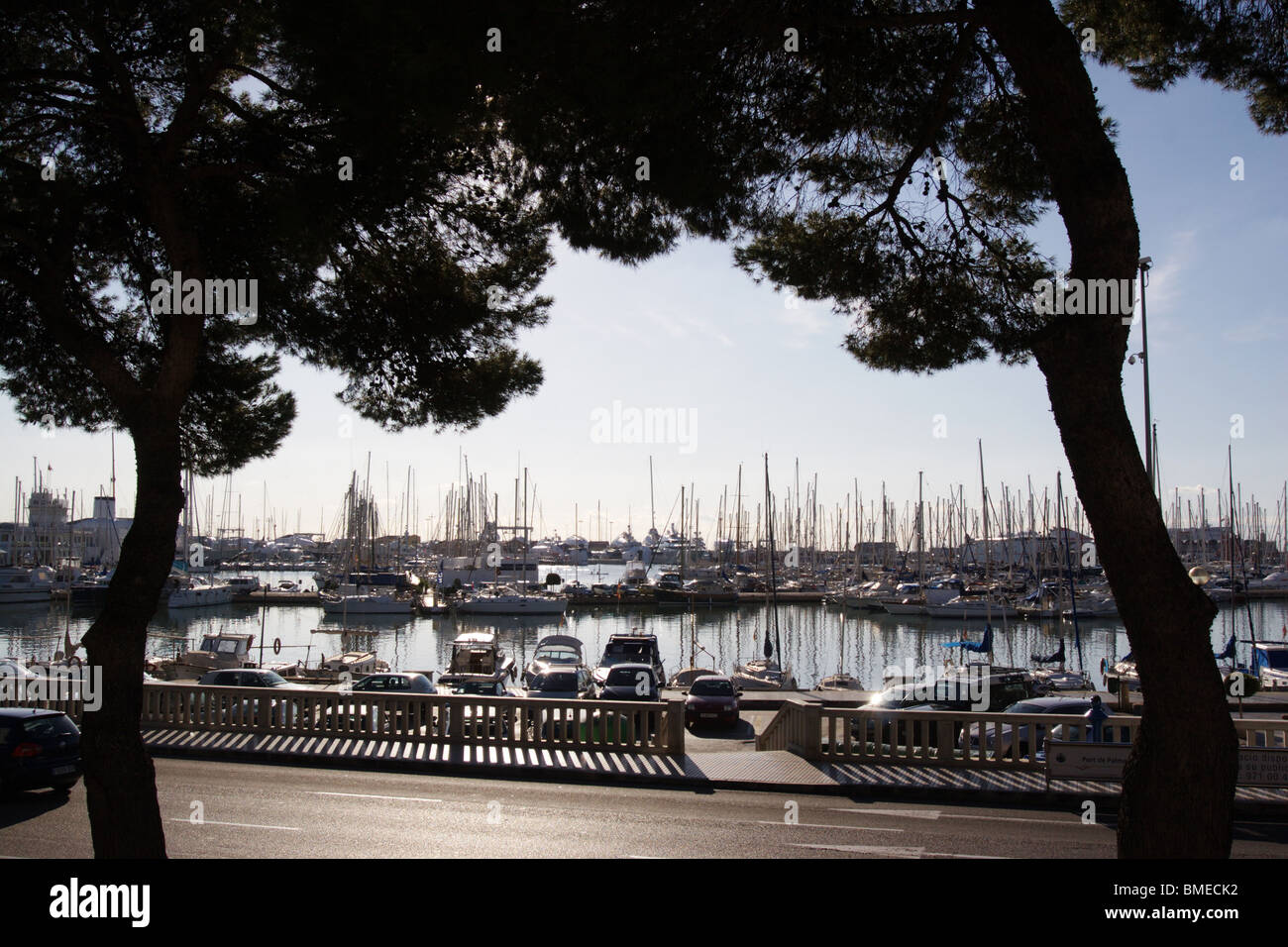 Palma majorca port hi-res stock photography and images - Alamy
