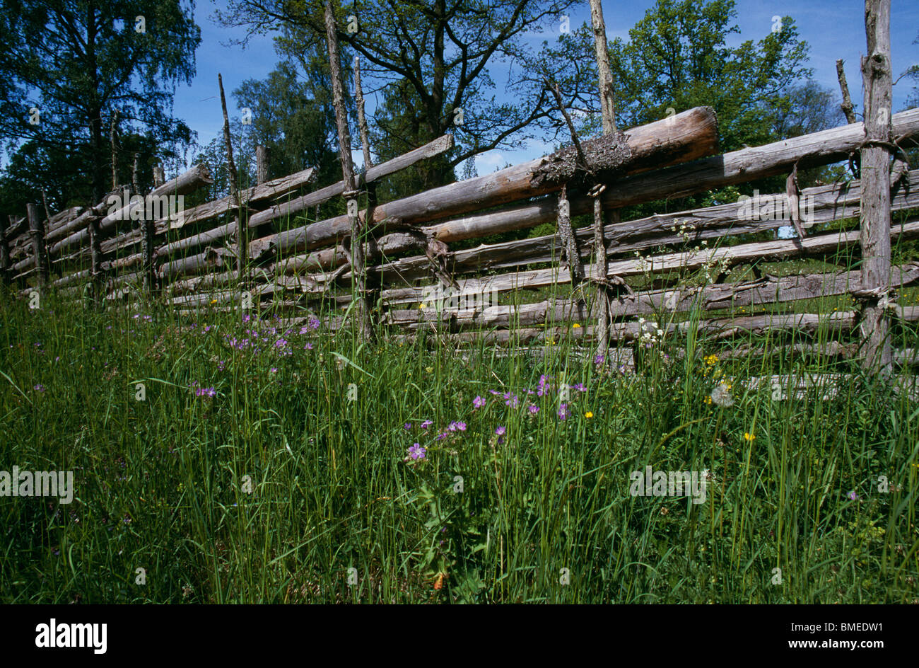 Old wooden fence on field Stock Photo - Alamy