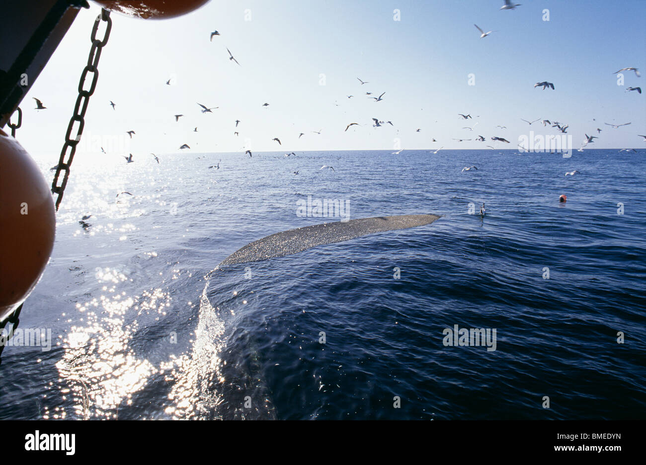 Trawler fishing at sea Stock Photo - Alamy