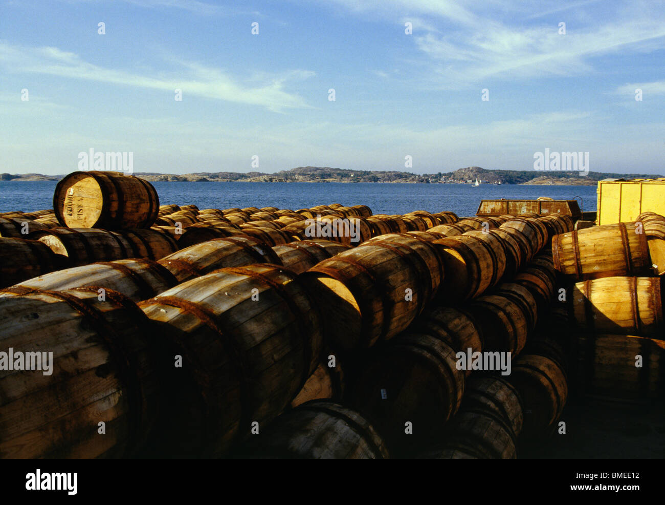 Sea Barrel Not Coral High Resolution Stock Photography and Images - Alamy