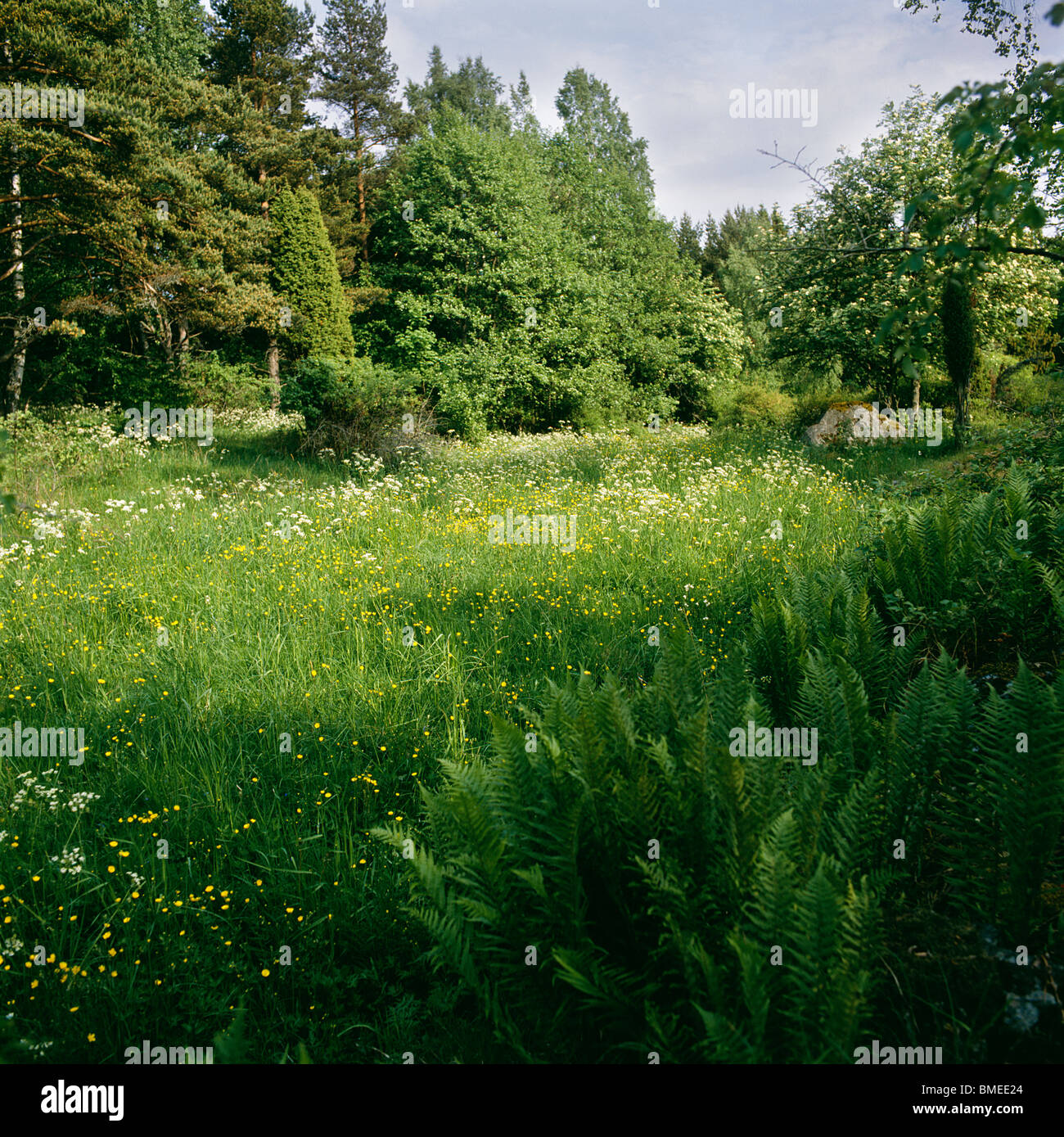 Areas outside view hi-res stock photography and images - Alamy