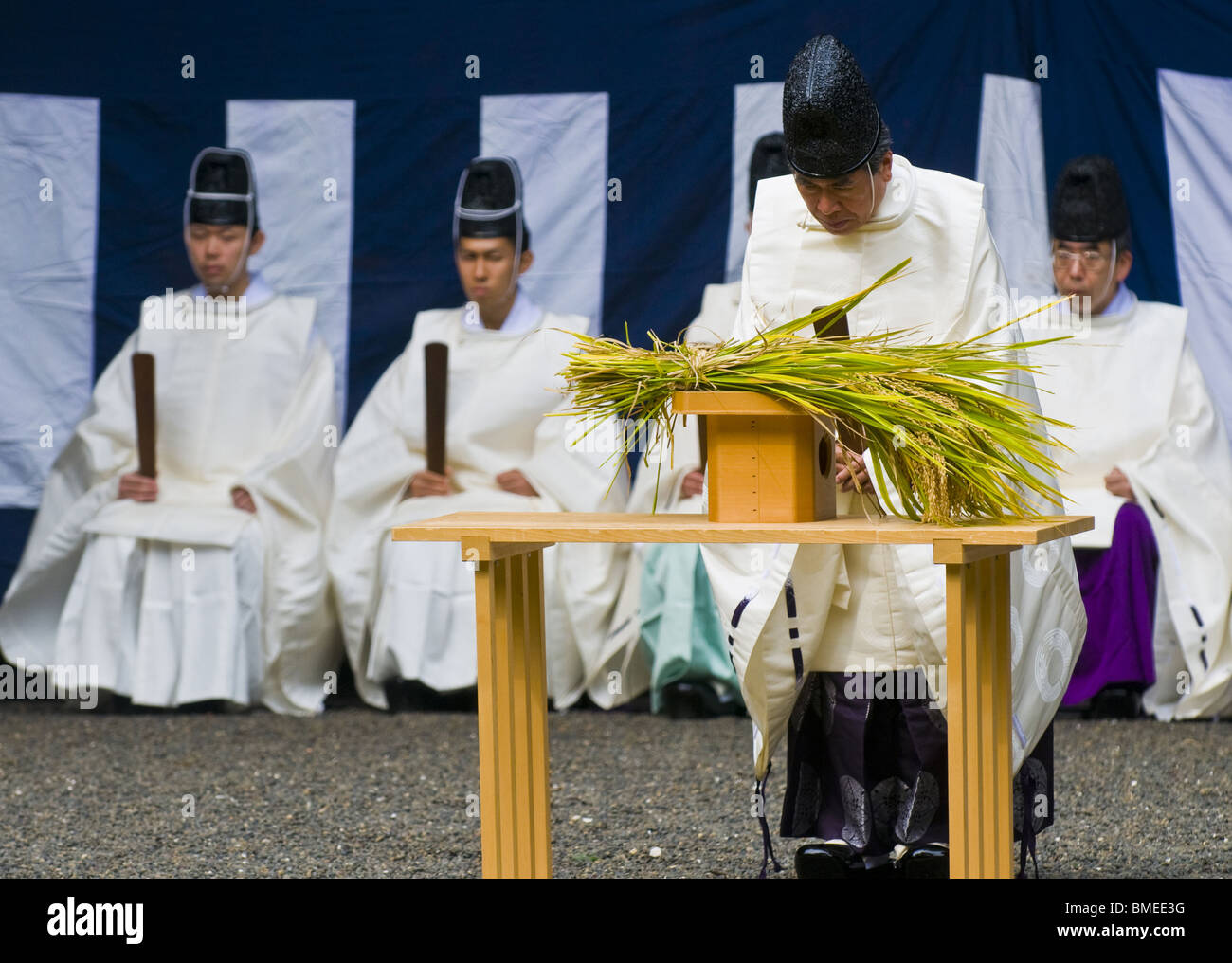 Kyoto, OCT 25: a participants on the rice harvest ceremony held on ...