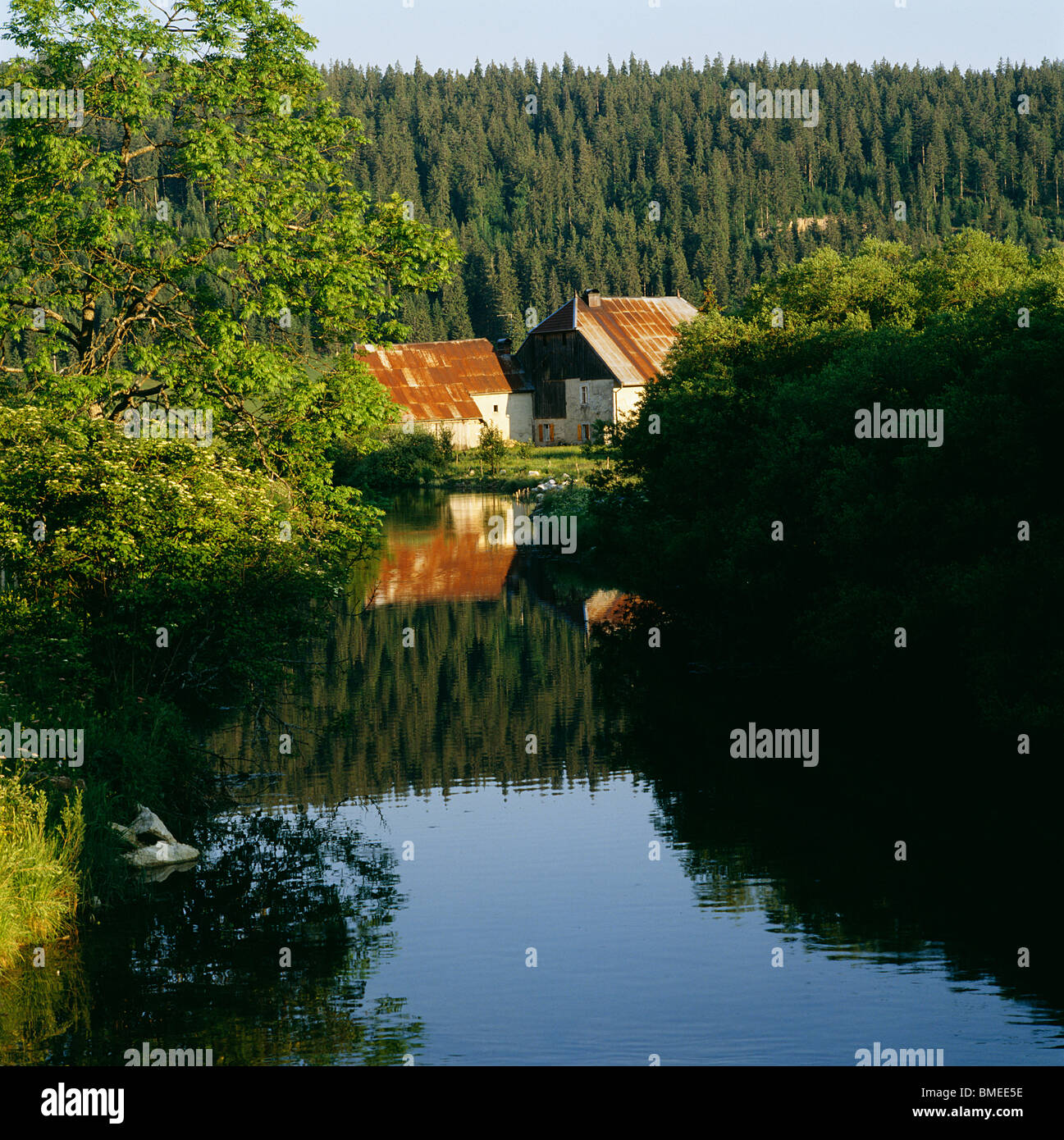 View of farmhouse and trees hi-res stock photography and images - Alamy