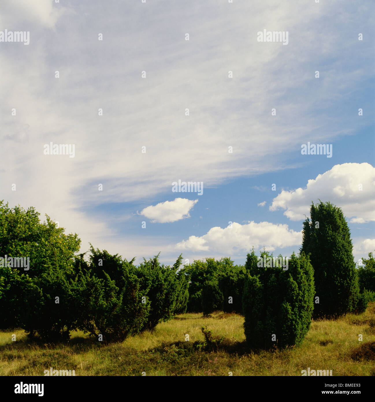 Serene landscape hi-res stock photography and images - Alamy
