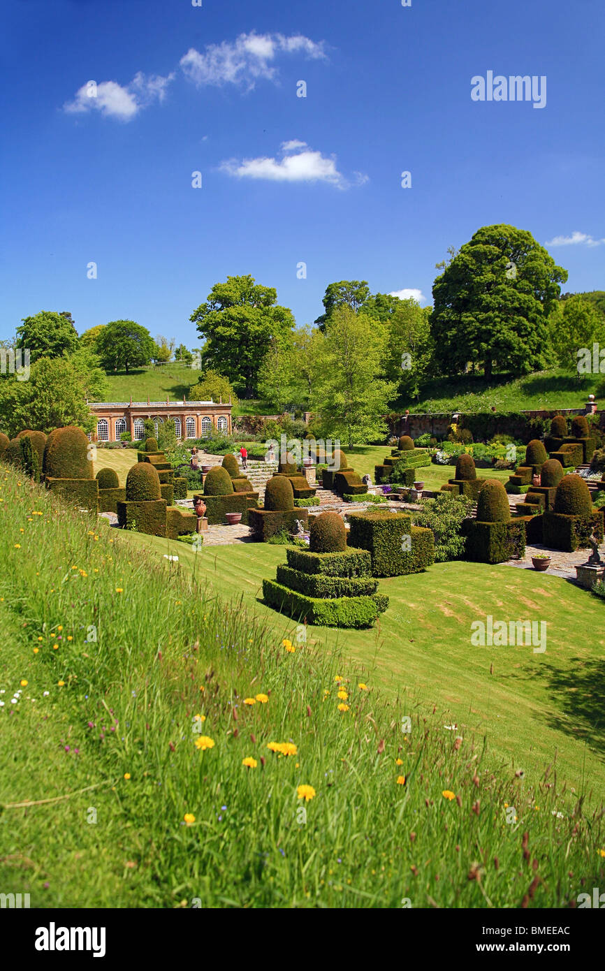 Mapperton orangery hi-res stock photography and images - Alamy