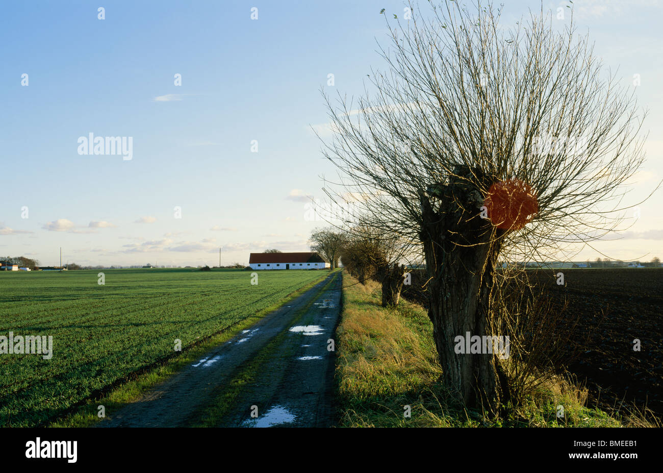 Outdoor exterior day daytime daylight nature scene scenery landscape hi ...