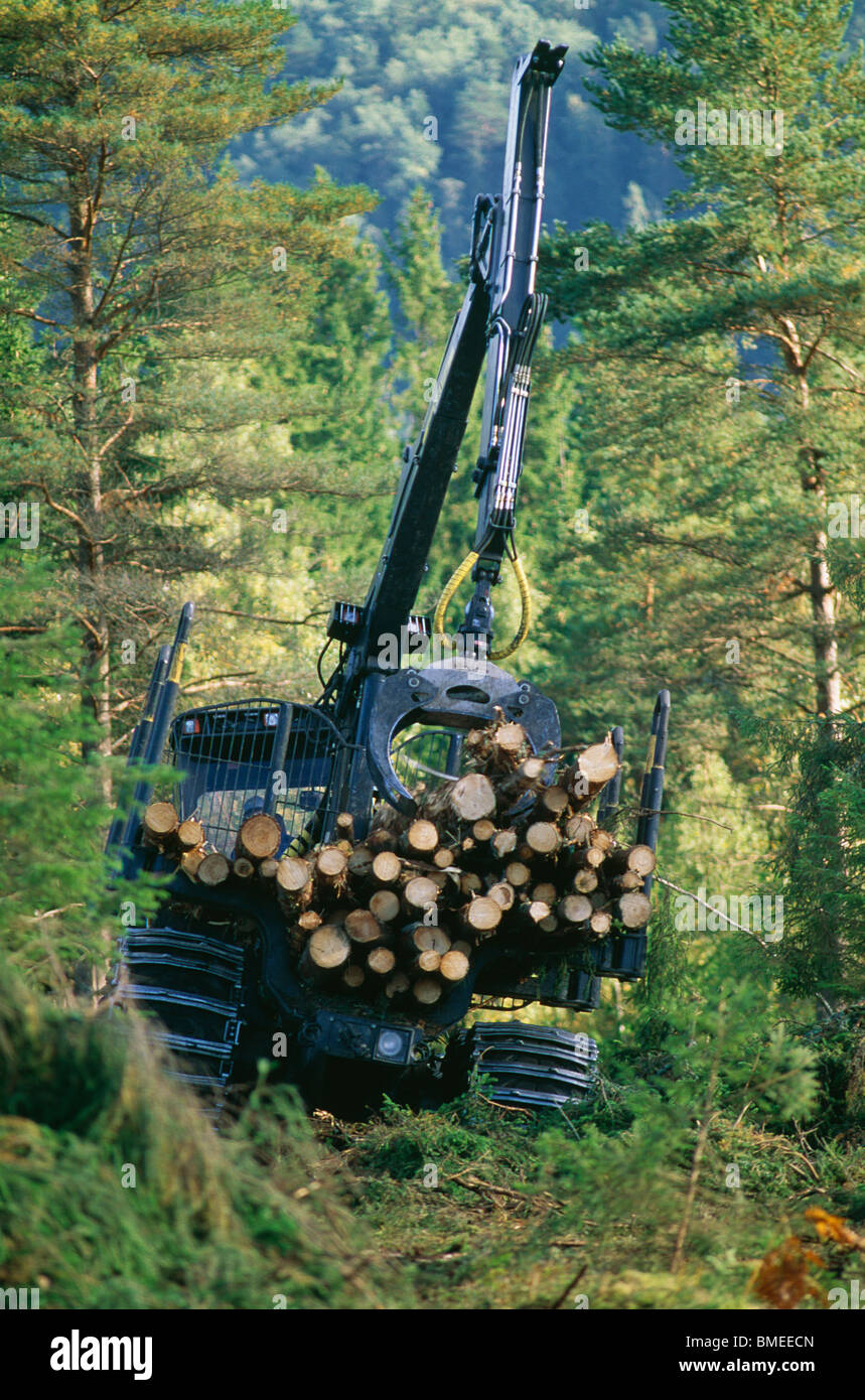 Lifting Tree Trunks High Resolution Stock Photography and Images - Alamy
