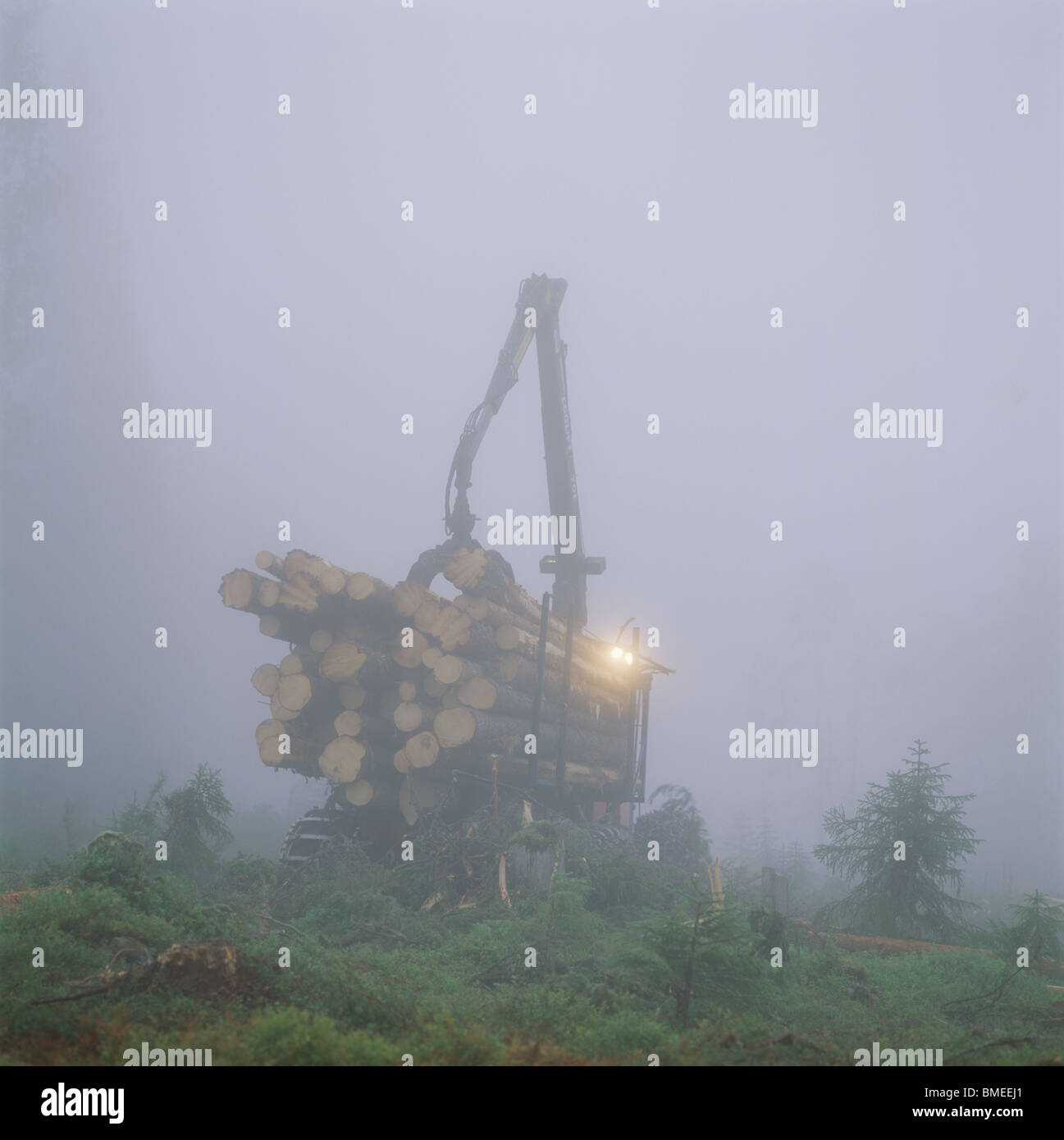 Lifting Tree Trunks High Resolution Stock Photography and Images - Alamy