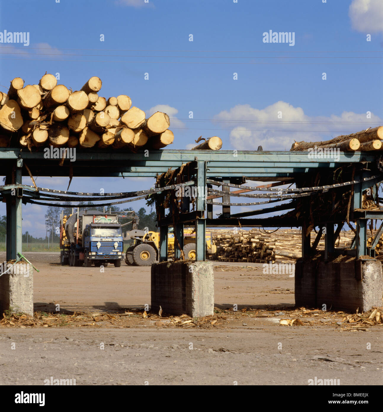 Timber piles hi-res stock photography and images - Alamy