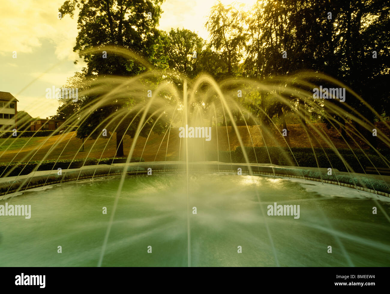 View fountain tree hi-res stock photography and images - Alamy