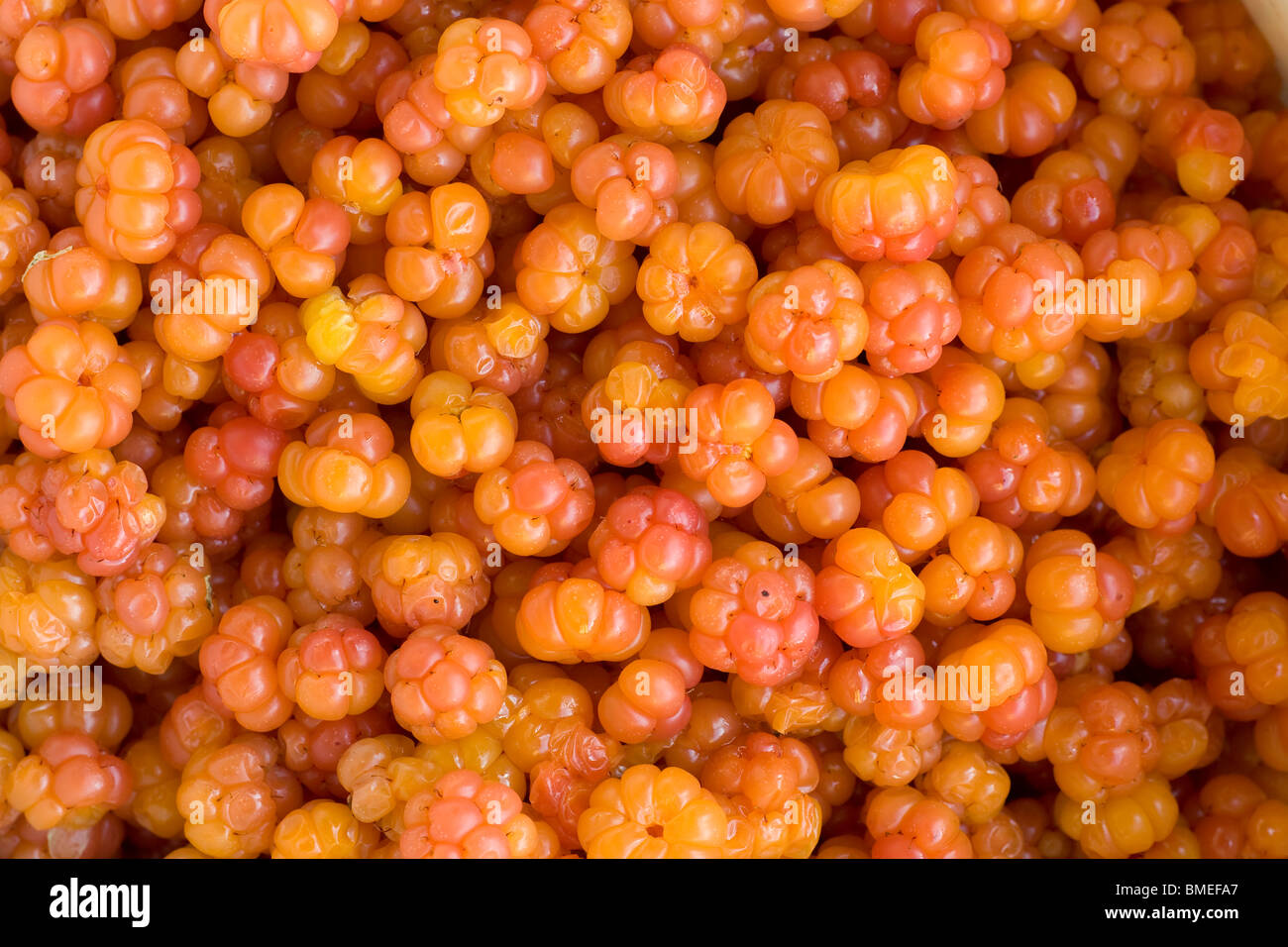 Scandinavian fruits hi-res stock photography and images - Alamy