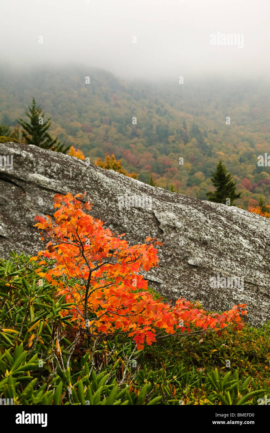 North America, USA, North Carolina, View of rock formation in autumn ...