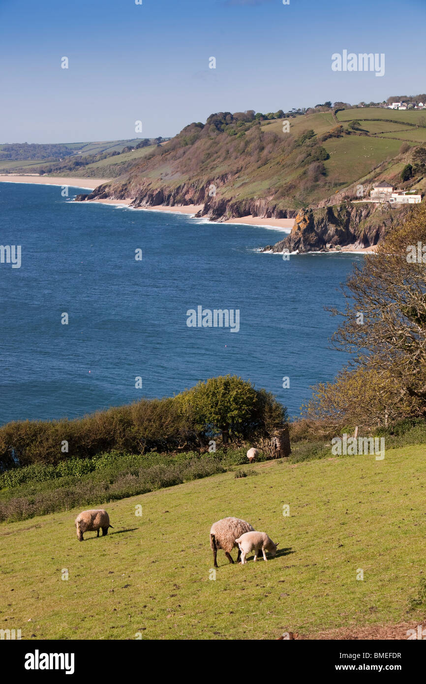 Strete start bay devon hi-res stock photography and images - Alamy