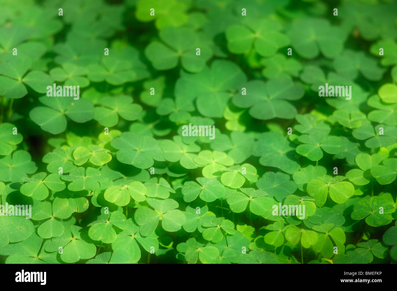 Vastergotland hi-res stock photography and images - Alamy