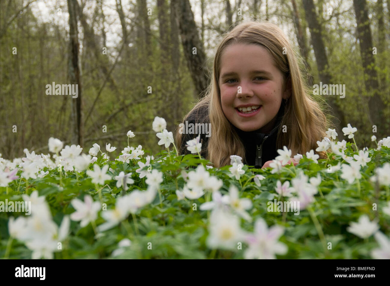 Buttercup In The Foreground High Resolution Stock Photography and ...