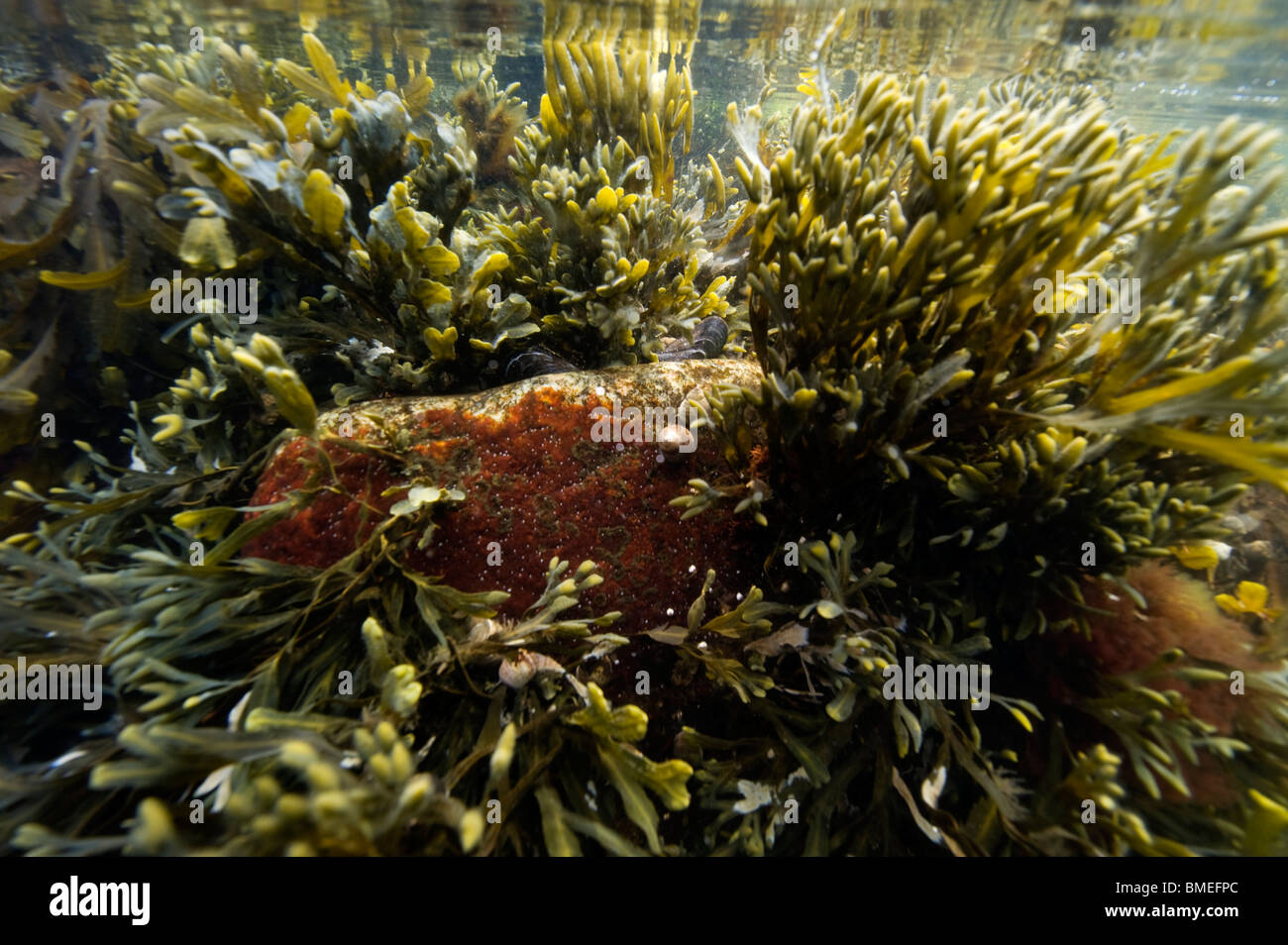 Environmental geology hi-res stock photography and images - Alamy