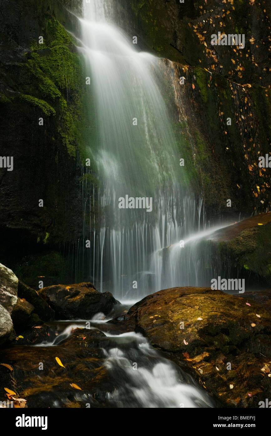 North Carolina Mountain Waterfall