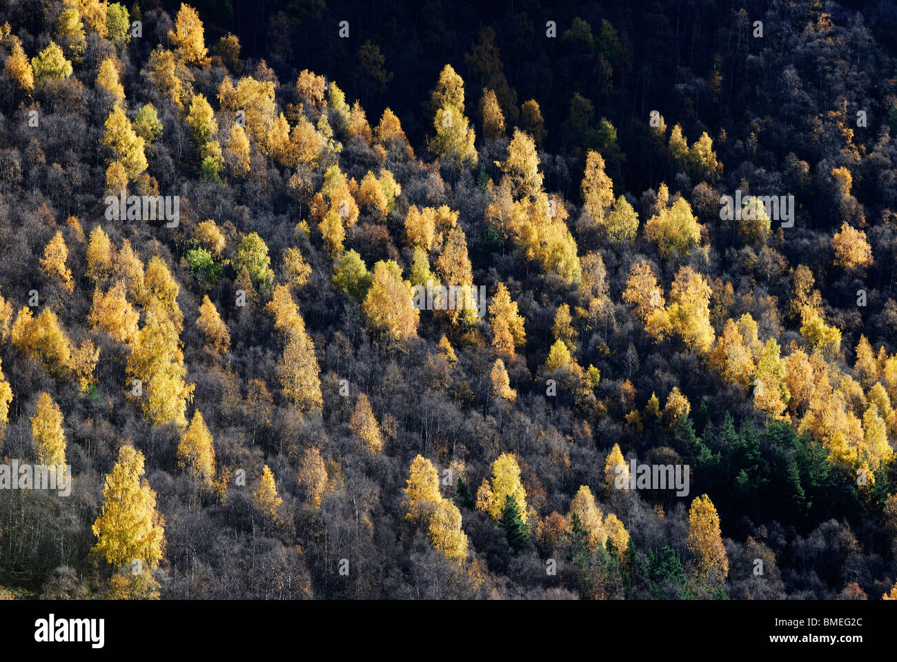 Nordic Colours High Resolution Stock Photography and Images - Alamy
