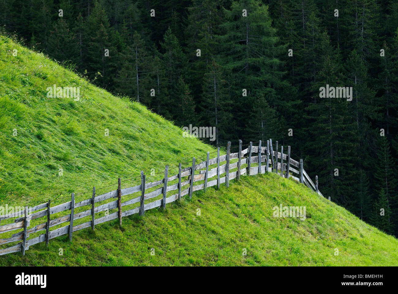 Austria meadows and fences hi-res stock photography and images - Alamy