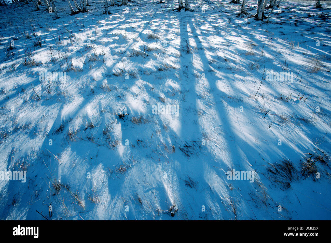 The yanqing snow hi-res stock photography and images - Alamy