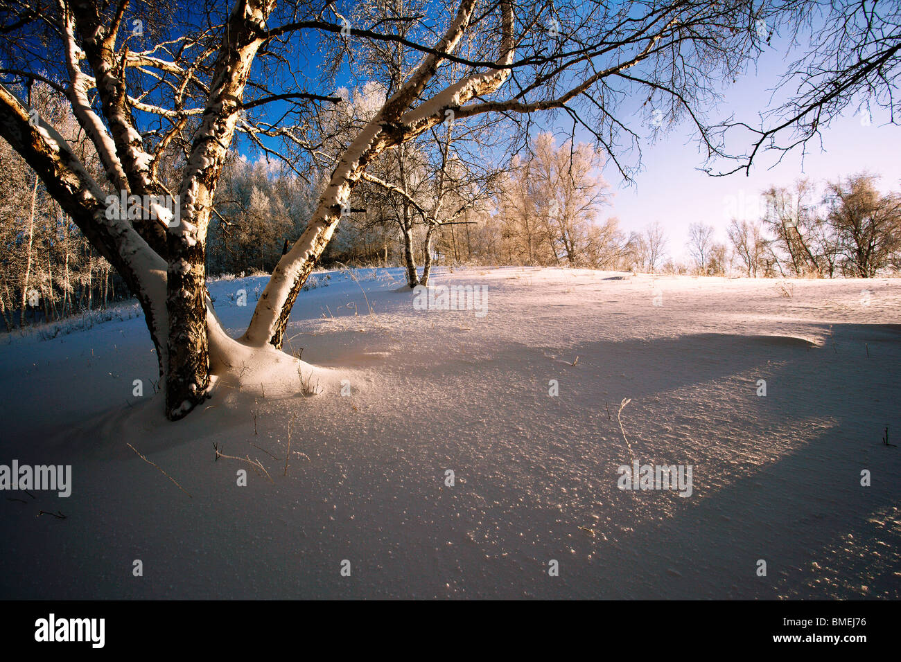The yanqing snow hi-res stock photography and images - Alamy