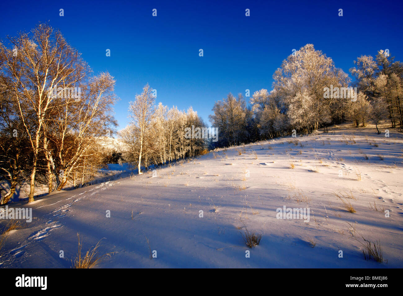 The yanqing snow hi-res stock photography and images - Alamy